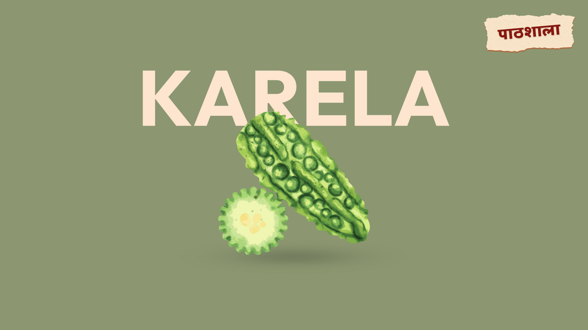 Bitter is Better: Karela’s Origin, Chemical Properties & Benefits ...