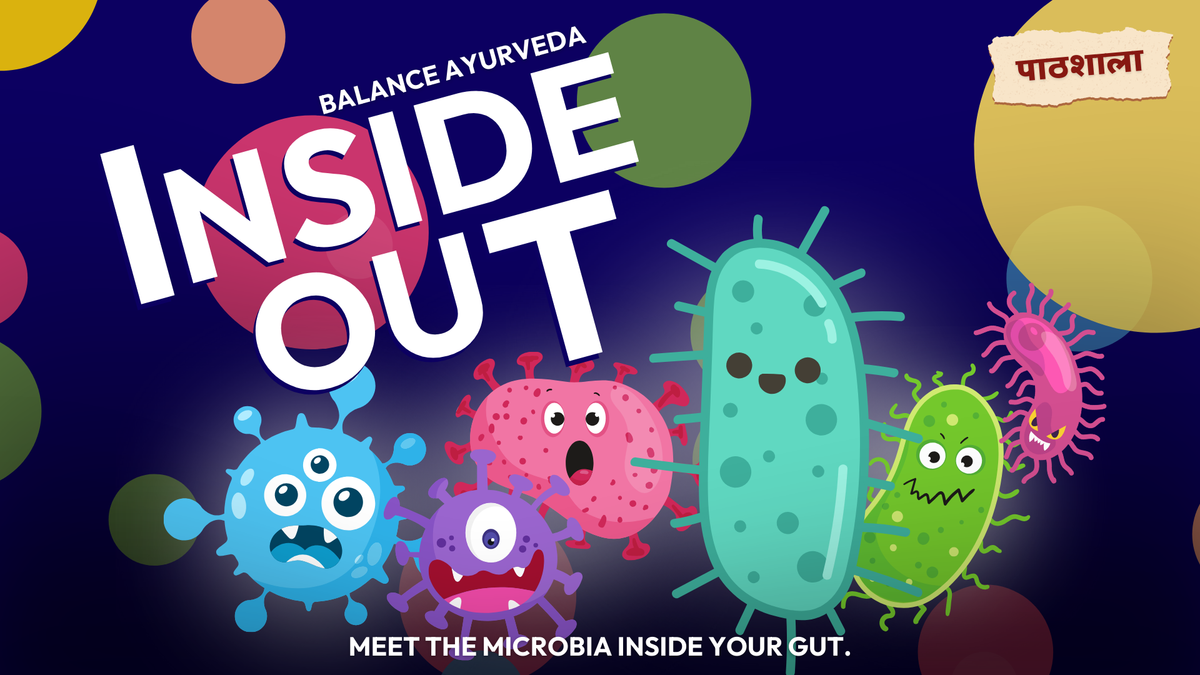 Inside Out: A Microscopic Comedy Starring Your Gut Microbiota – Balance ...