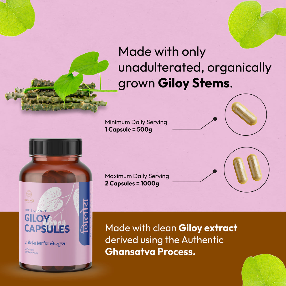 Giloy Capsules – Balance Ayurveda
